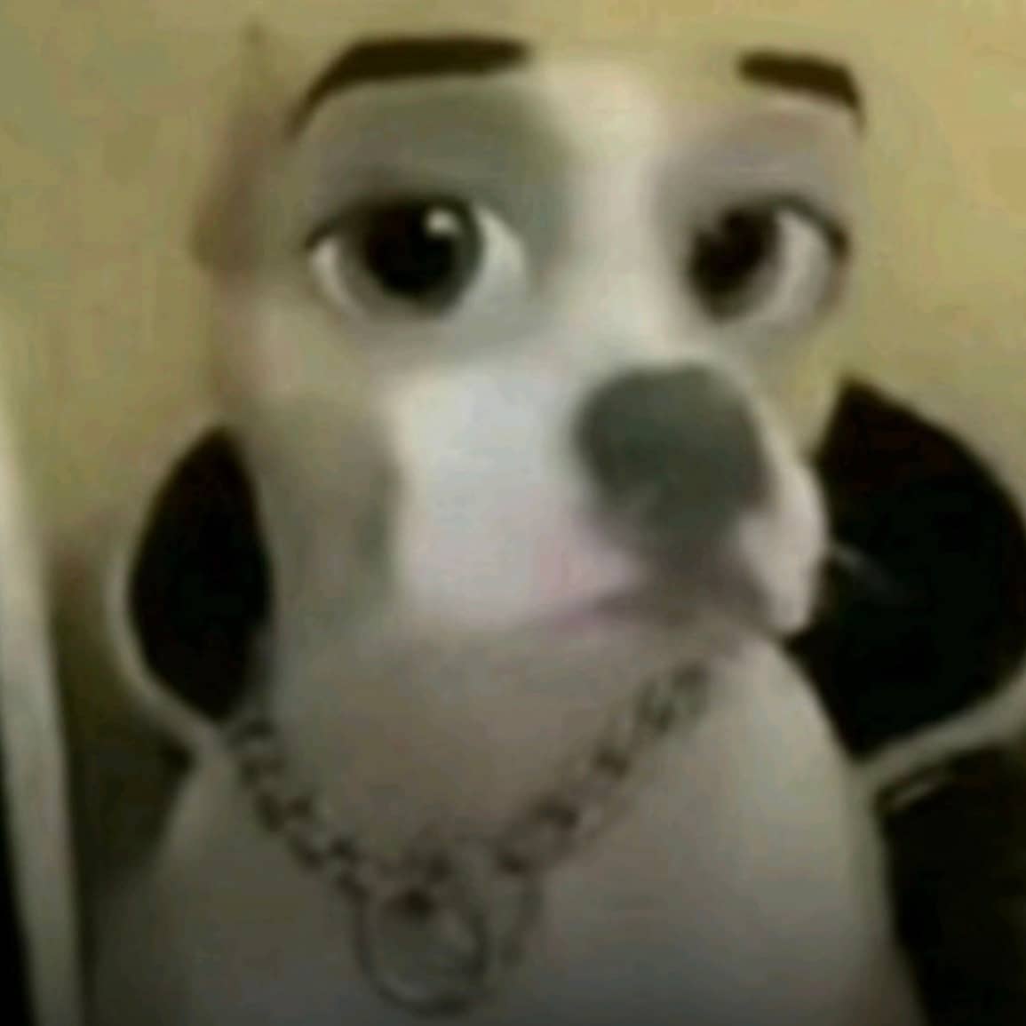 Loopzie (@loopziepop) / Passes